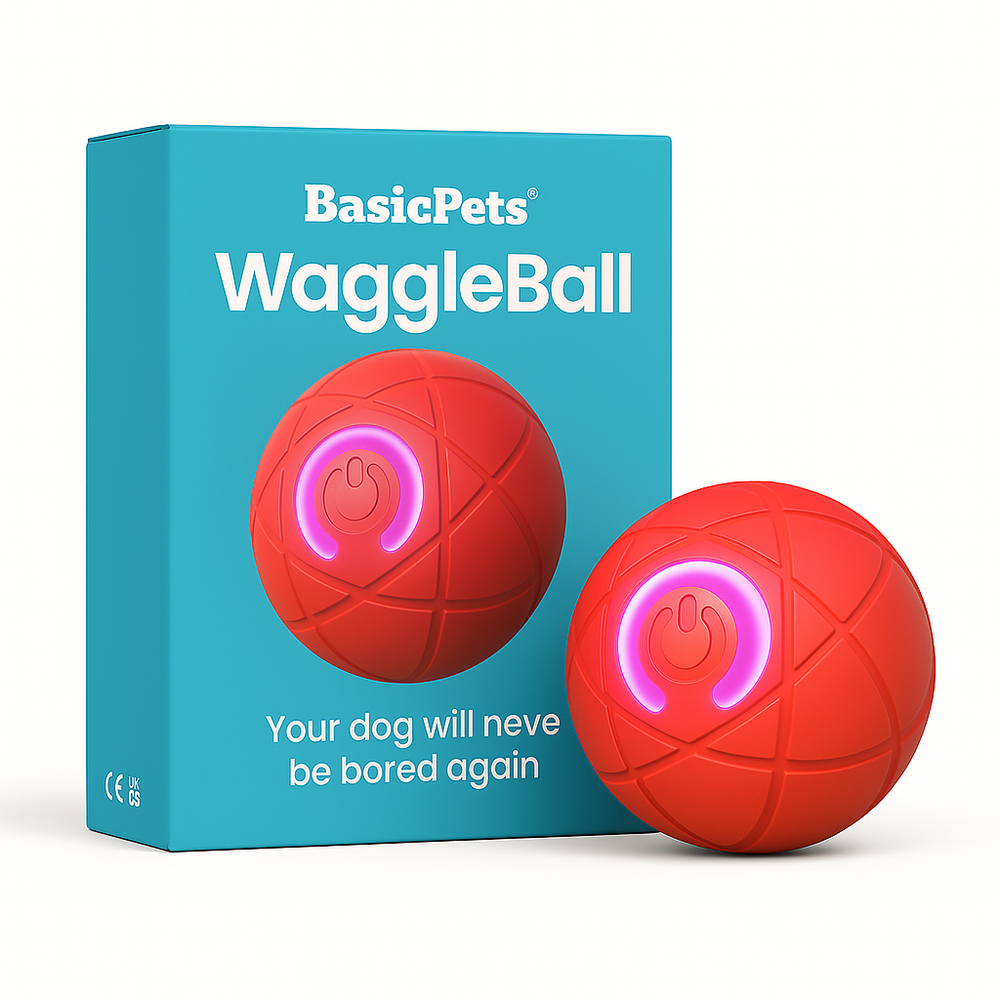 Interactive Bouncing Toy Moving & Flashing Light Ball For Dogs & Cats – Basic Pets